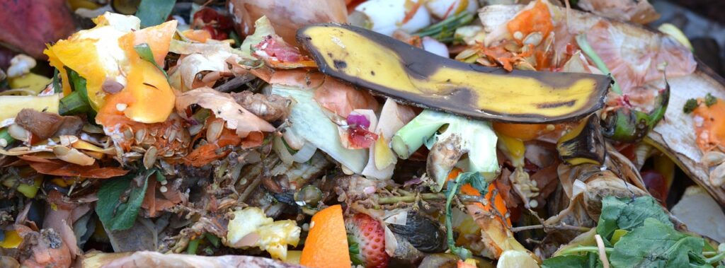Come fare compost in casa con gli scarti di cucina: il metodo più ...
